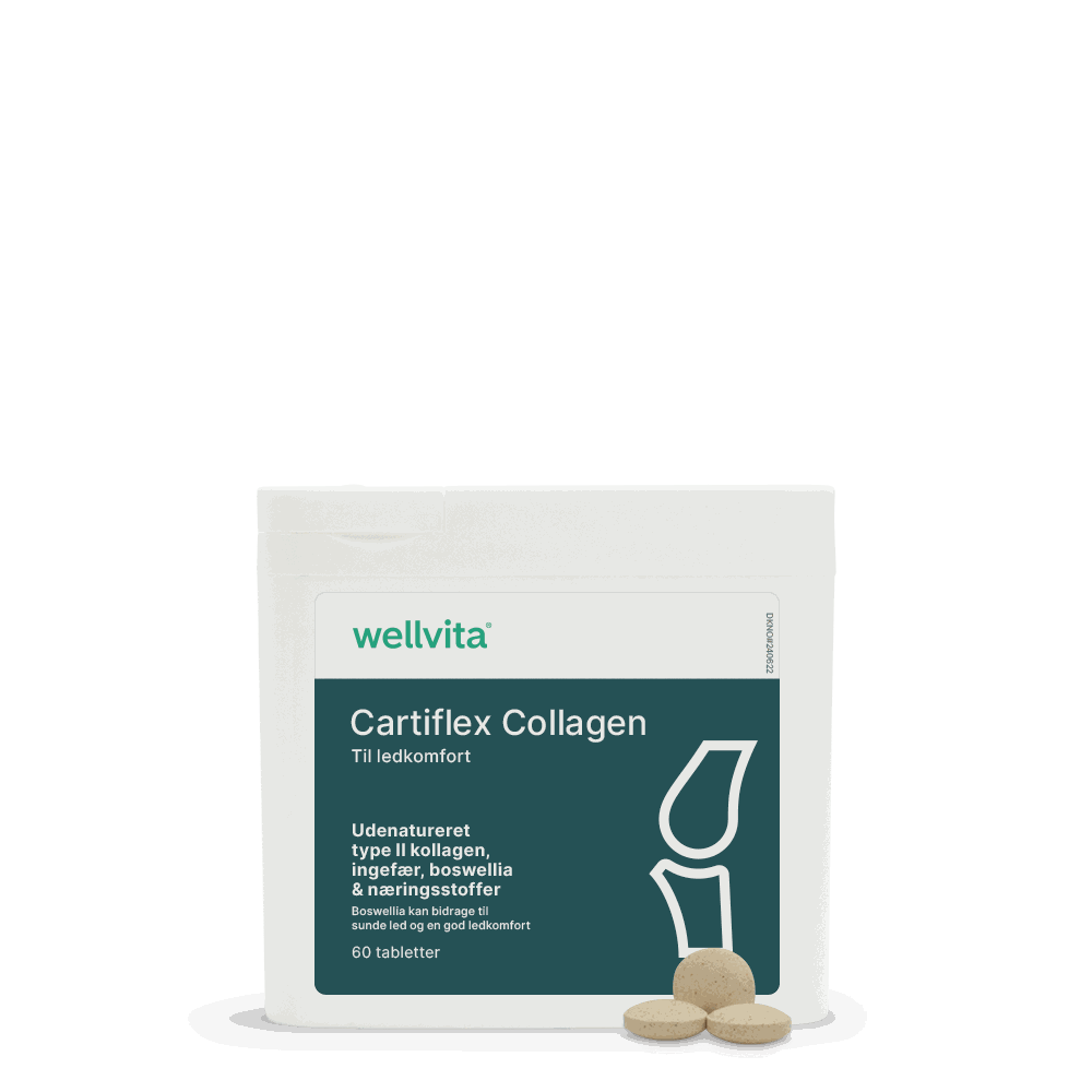 Cartiflex Collagen | Collagen for ledd – Wellvita.no
